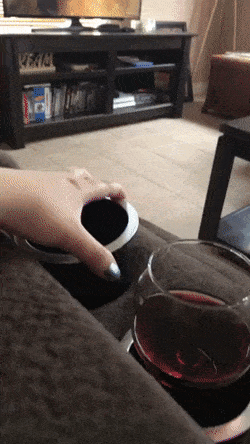 alcoholic cat | Random Cat Gifs